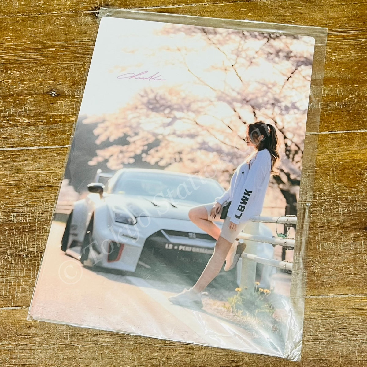 LIBERTY WALK JAPAN LIBERTY WALK Plastic Sheet Chisaki Kato LB GTR SI55 ...